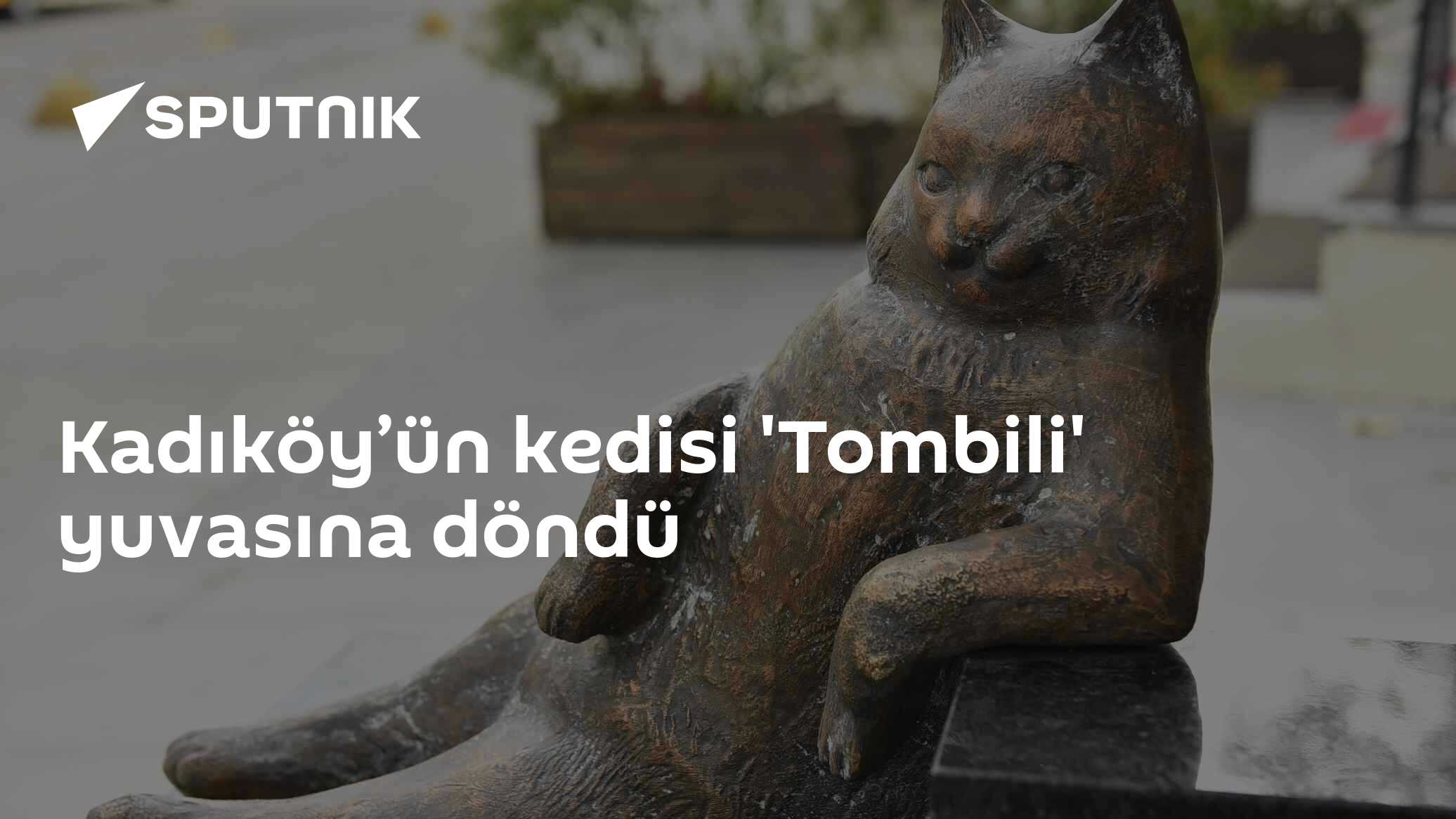 Kadıköy’ün kedisi 'Tombili' yuvasına döndü - 07.12.2022, Sputnik Türkiye